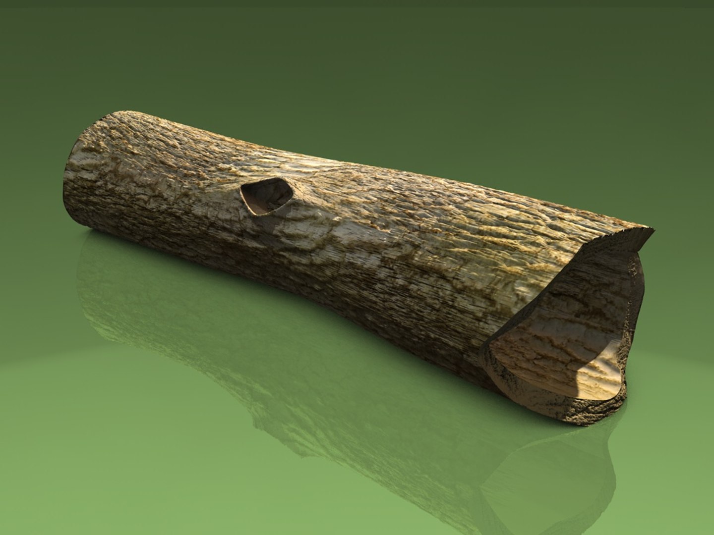 3d hollow dead trunk model