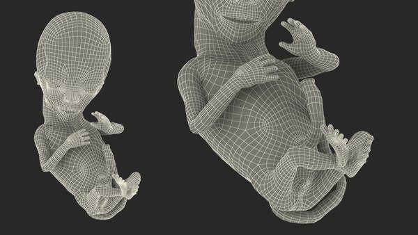 3D Human Fetus 12 Weeks Rigged for Maya model - TurboSquid 1718227