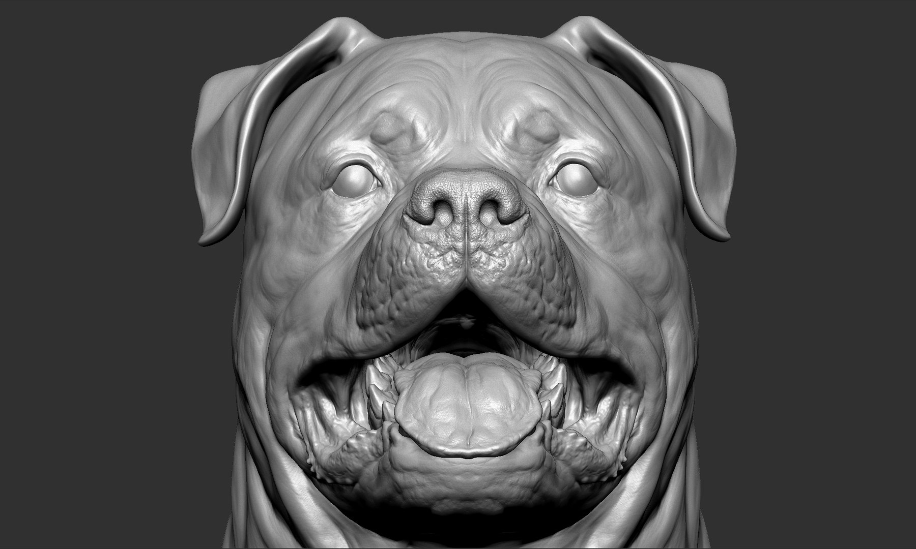 Rottweiler Dog Vfx Zbrush 3D Model - TurboSquid 1459893