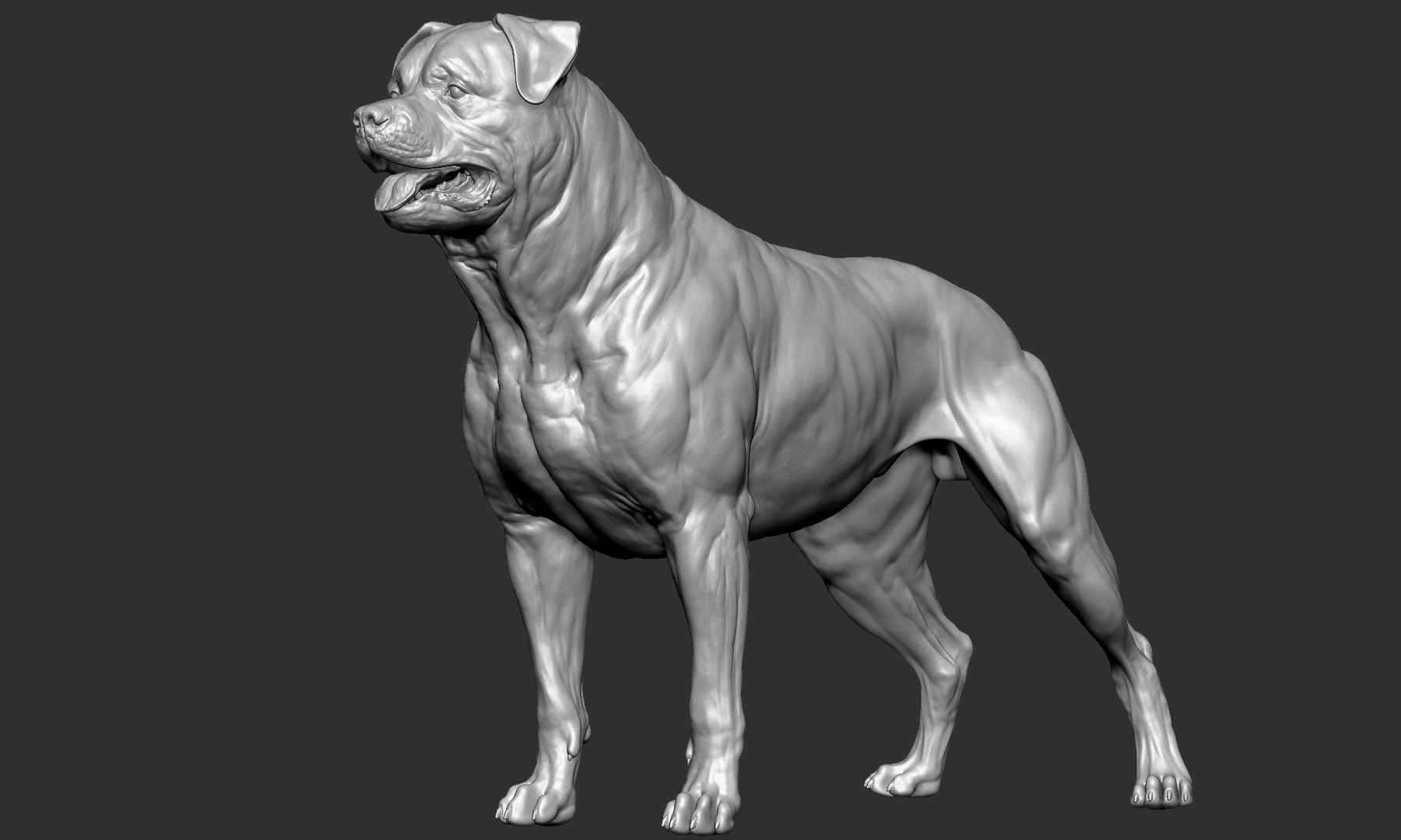 Rottweiler dog vfx zbrush 3D model - TurboSquid 1459893