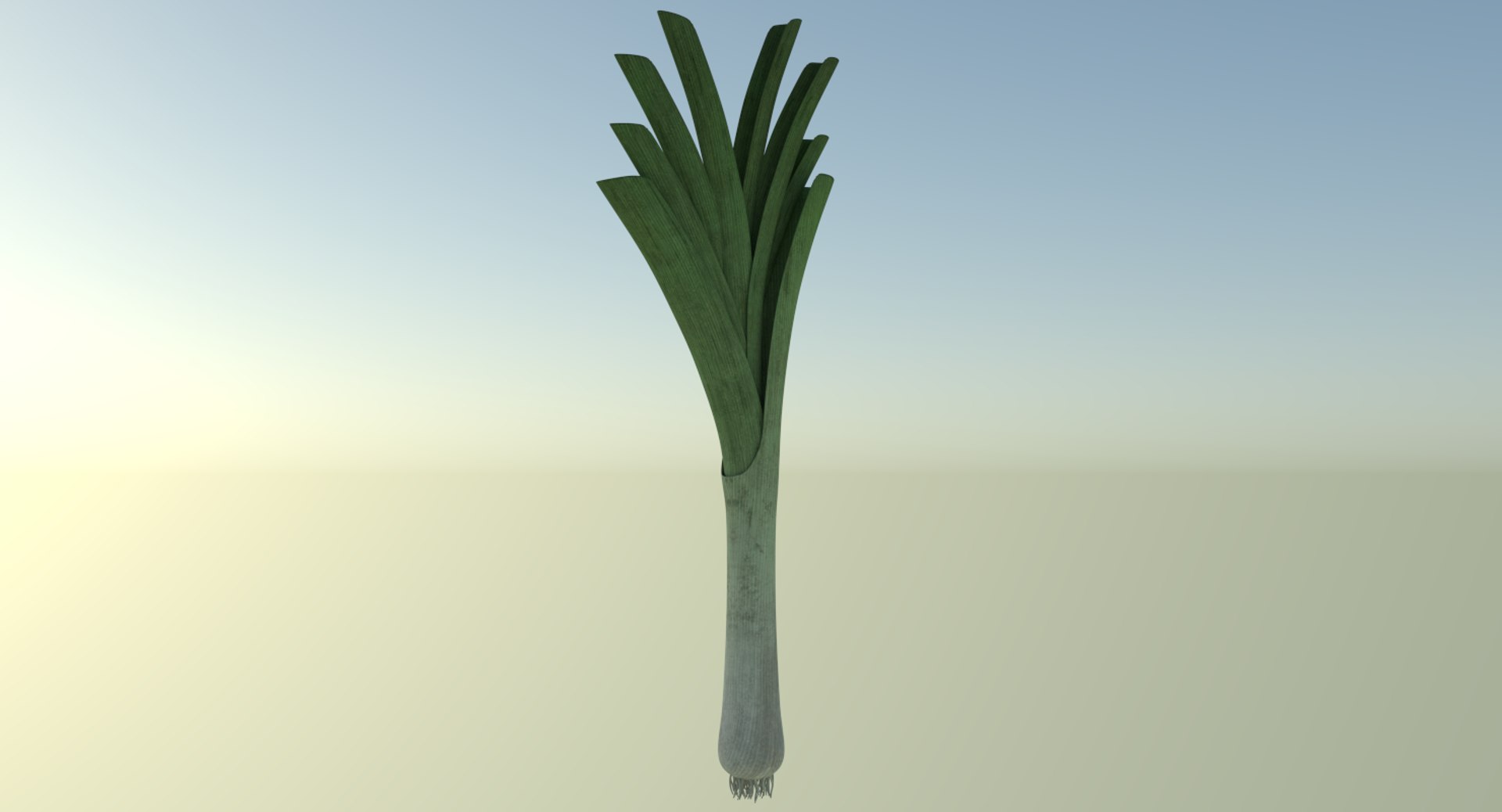 pack leeks 3d model