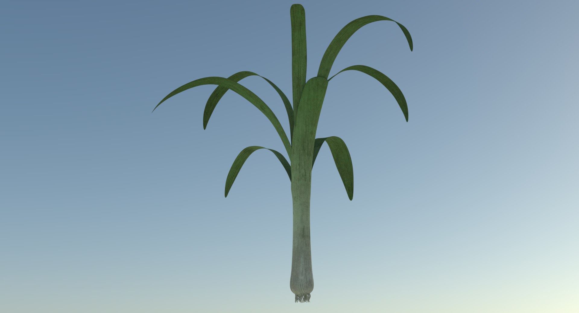 pack leeks 3d model