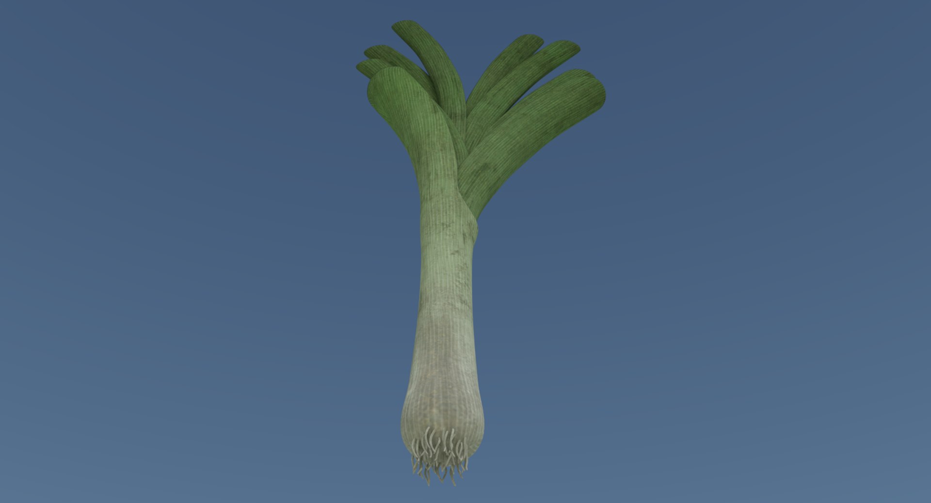 pack leeks 3d model