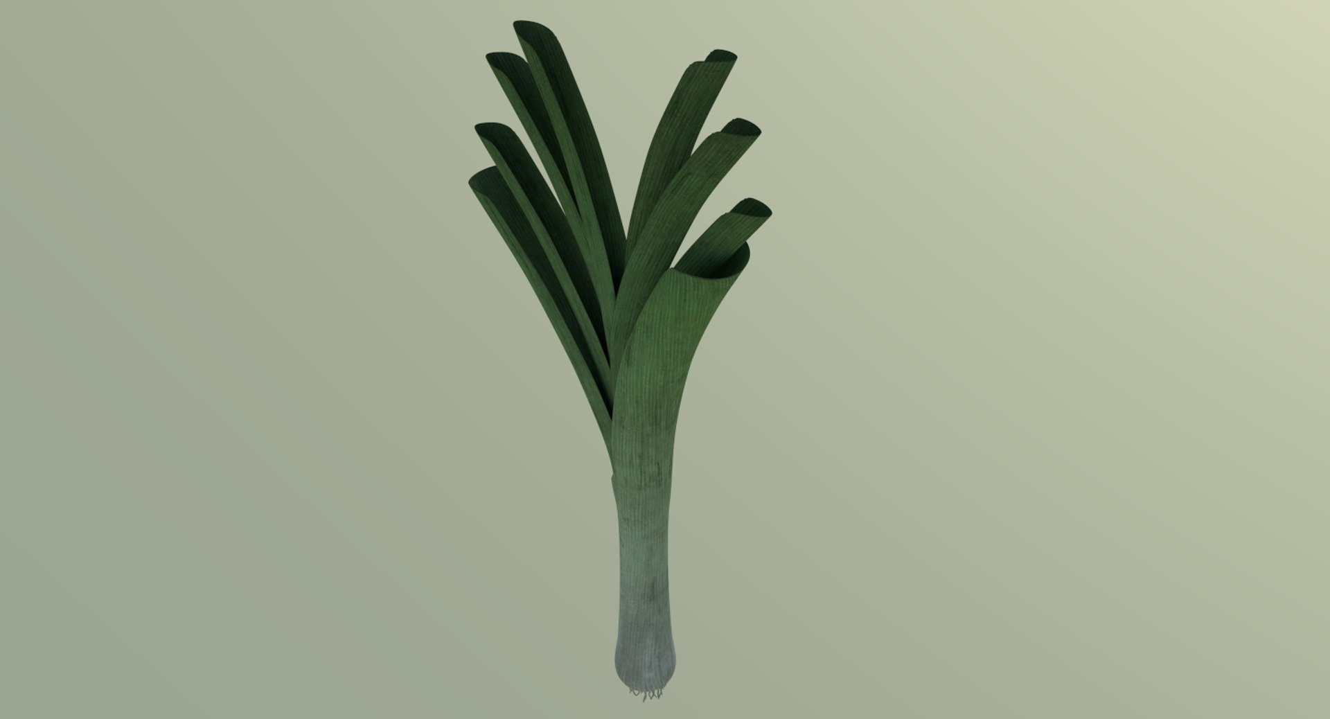 pack leeks 3d model