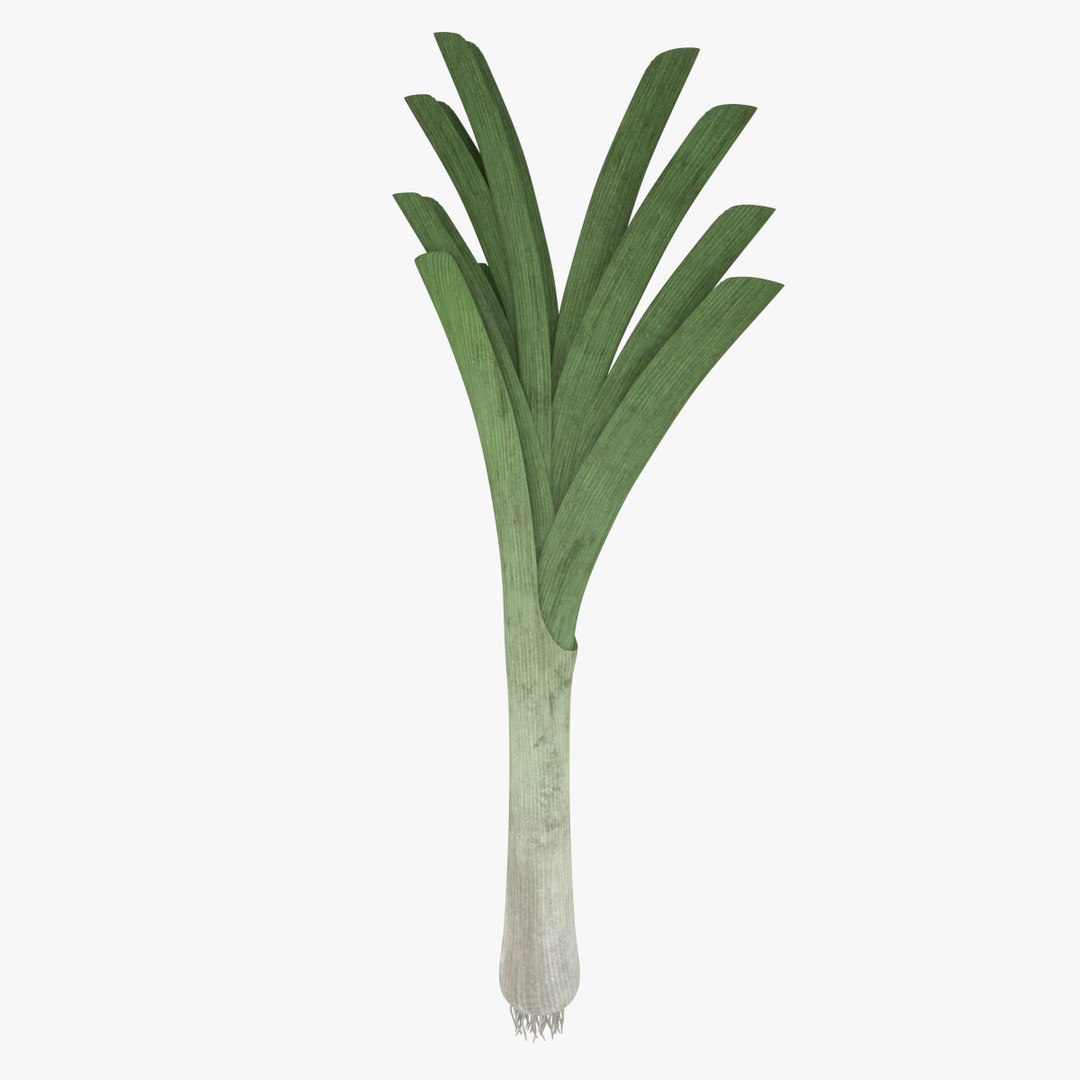 pack leeks 3d model