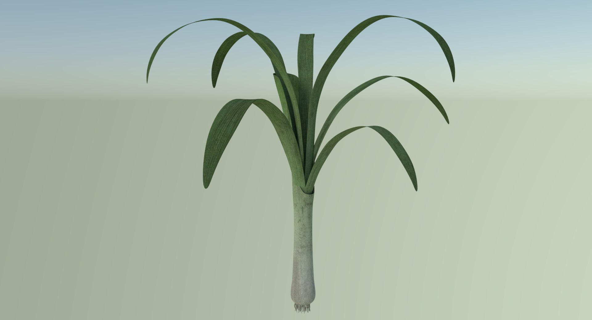 pack leeks 3d model