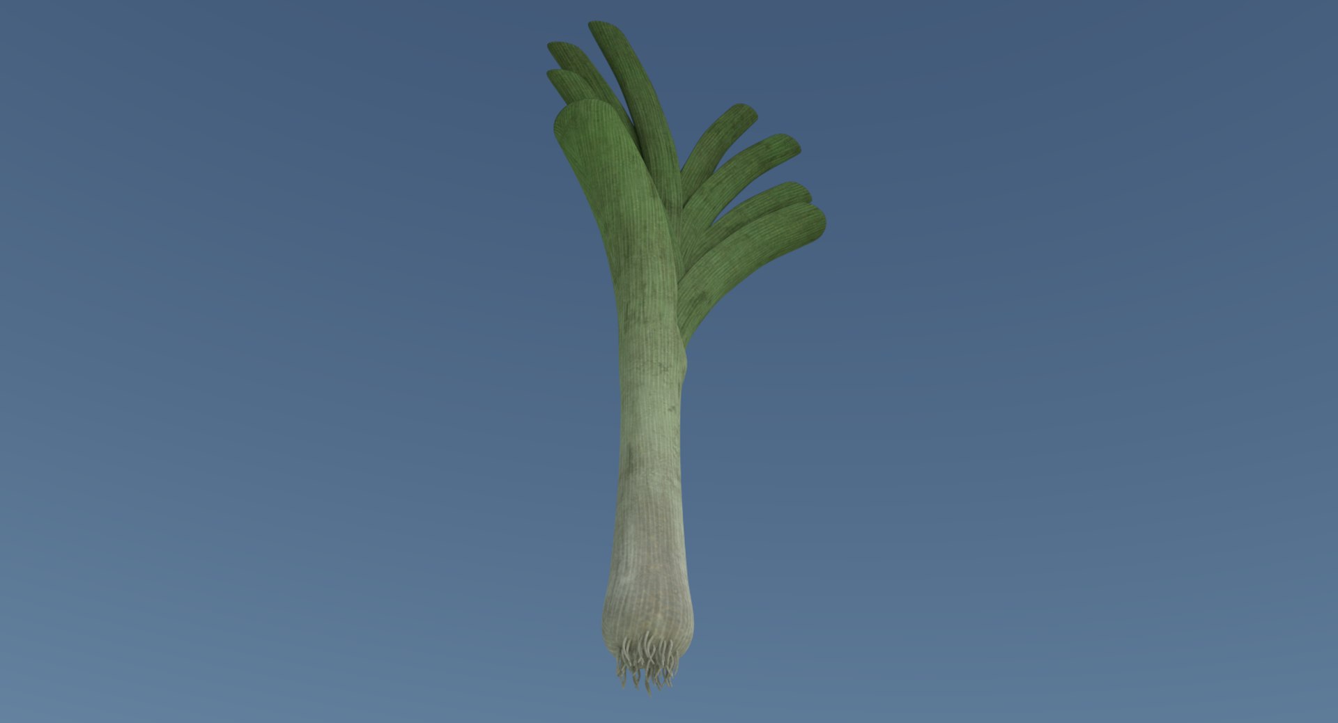 pack leeks 3d model