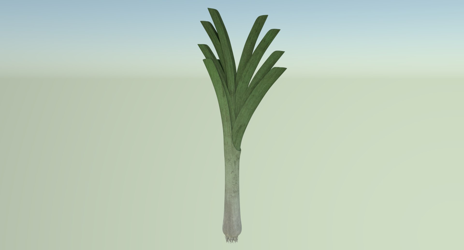 pack leeks 3d model