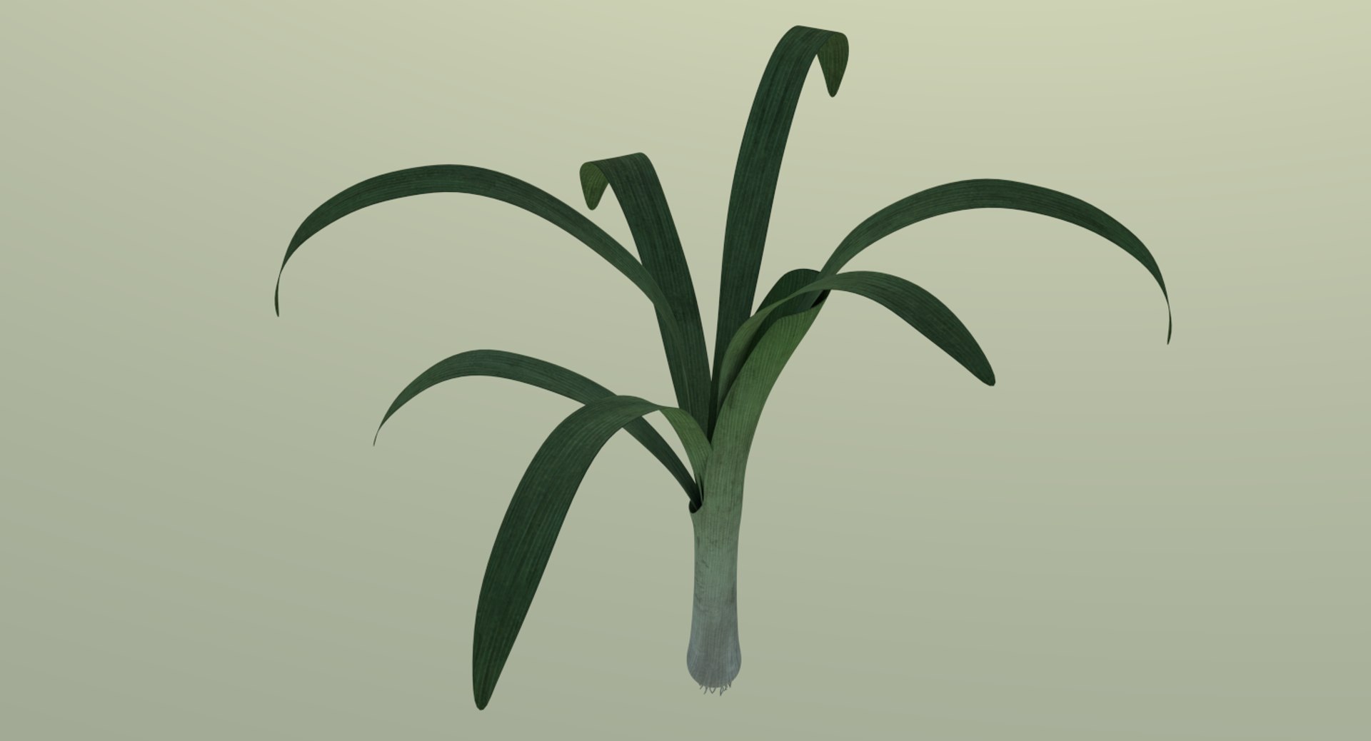 pack leeks 3d model