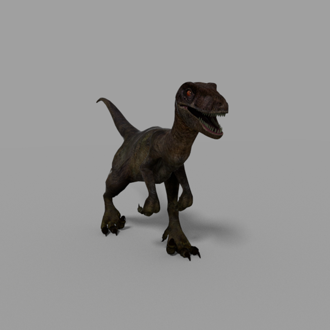 X Velociraptor Raptor