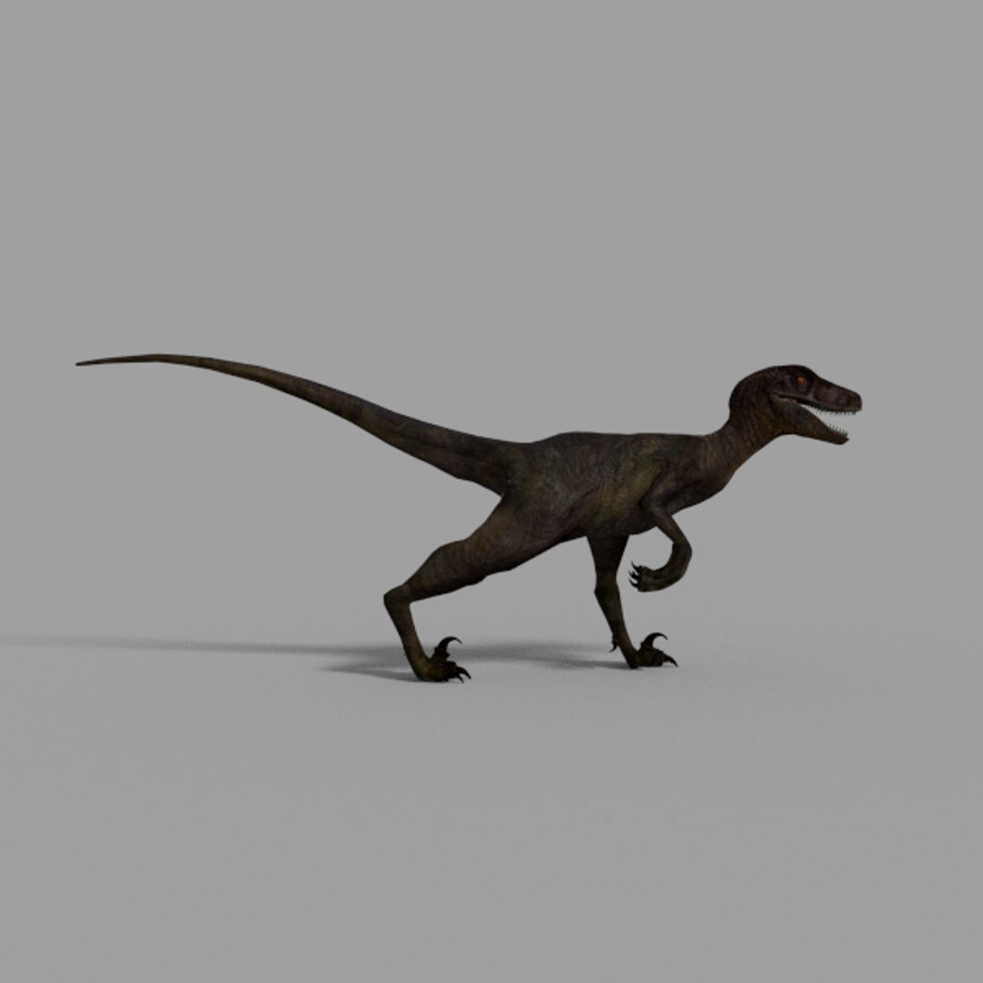 X Velociraptor Raptor