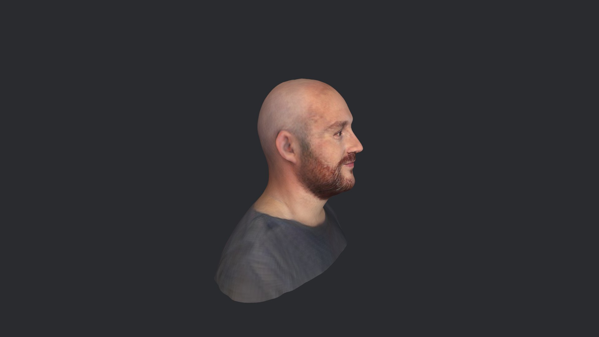 3D Tyson Fury- Realistic Bust Head Ready 3d Model - TurboSquid 2228390