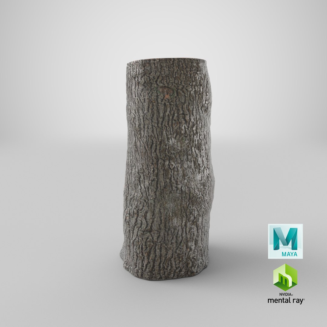 Tree Trunk 03 Model - TurboSquid 1521357