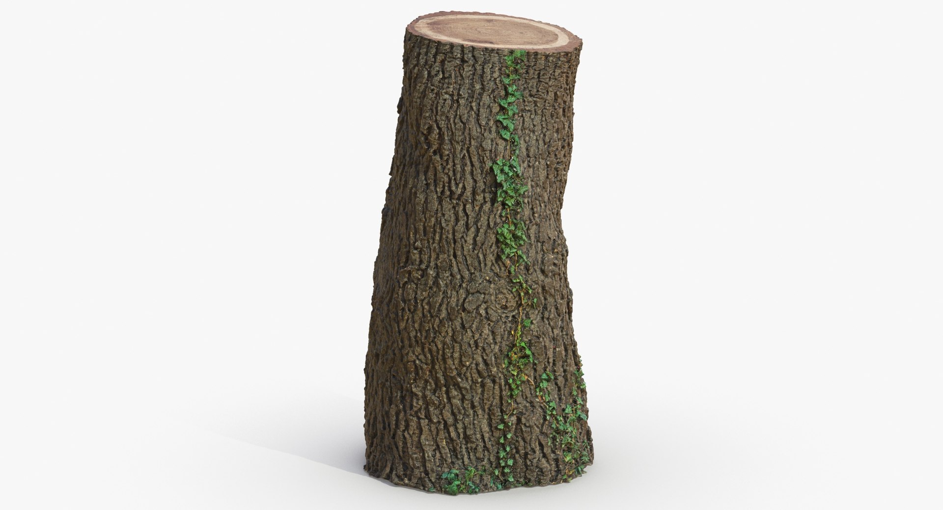 Tree Trunk 03 Model - TurboSquid 1521357