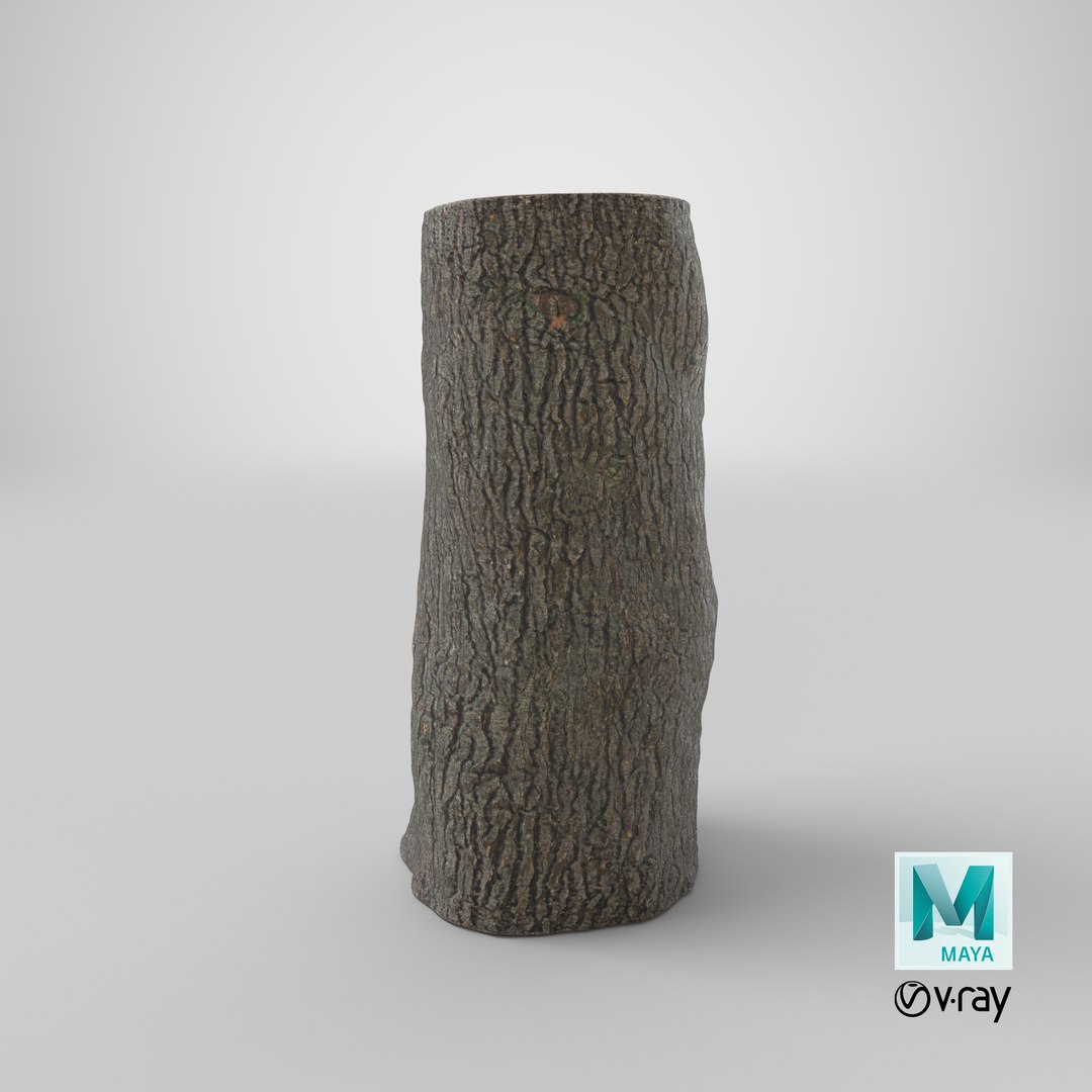 Tree Trunk 03 Model - TurboSquid 1521357