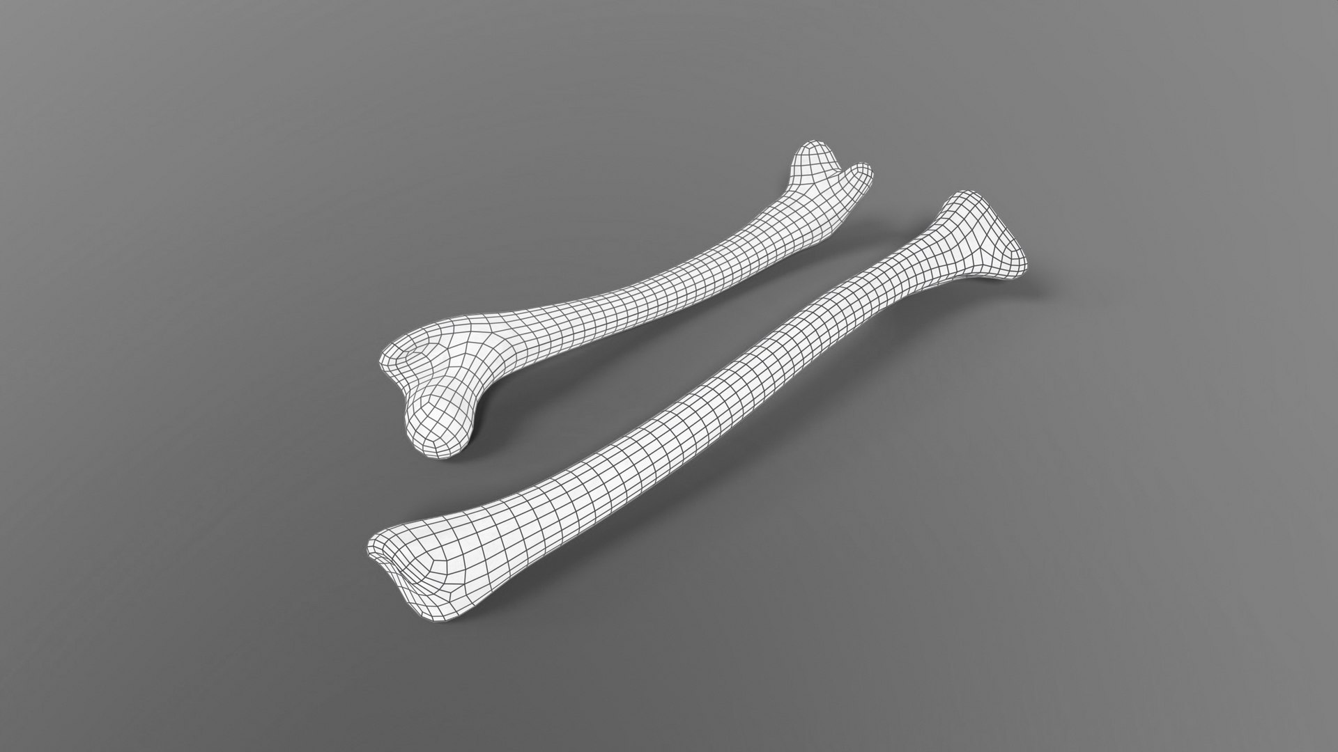Bones Dog Legs PBR 8K Low-poly 3D Model - TurboSquid 2310389