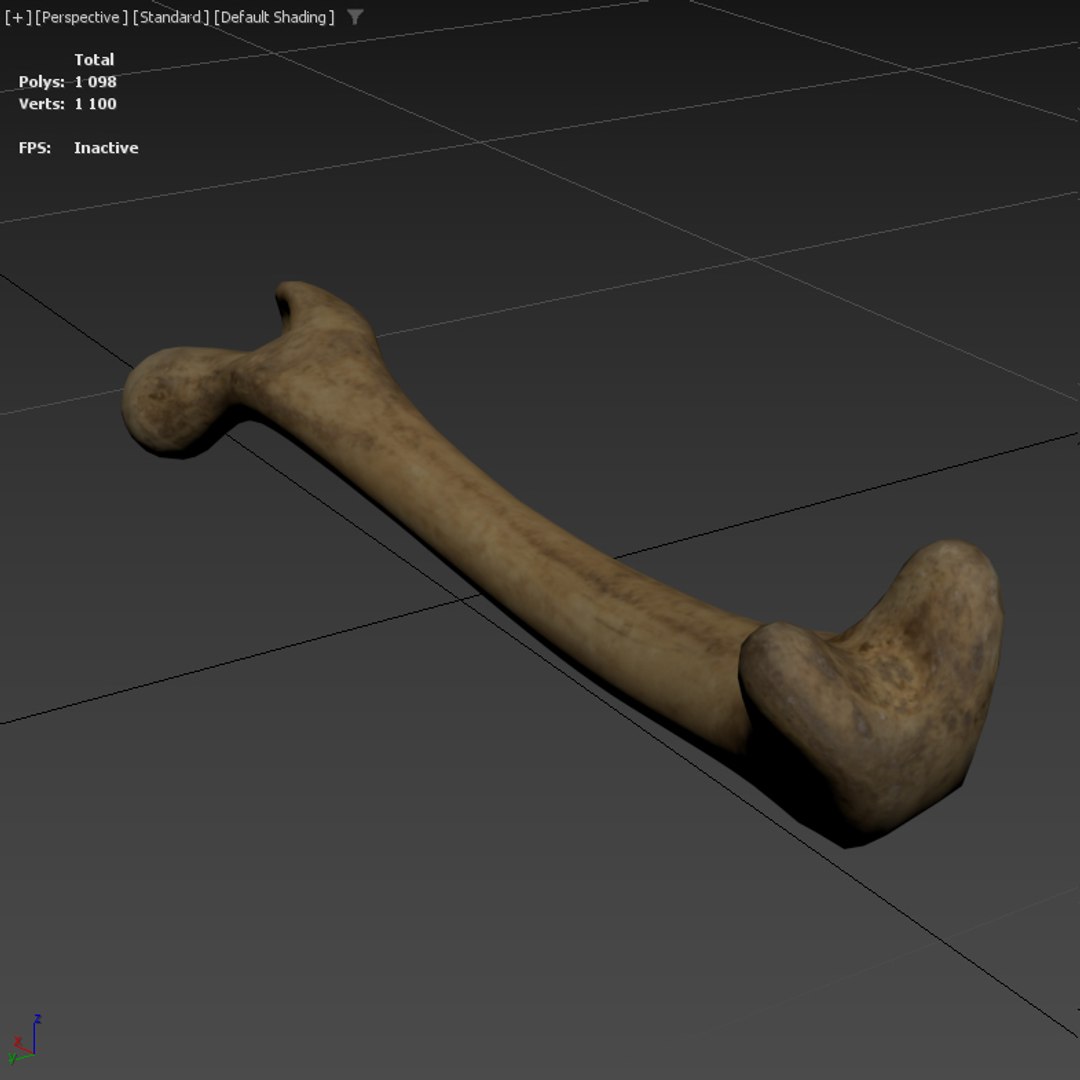 Bones Dog Legs PBR 8K Low-poly 3D Model - TurboSquid 2310389