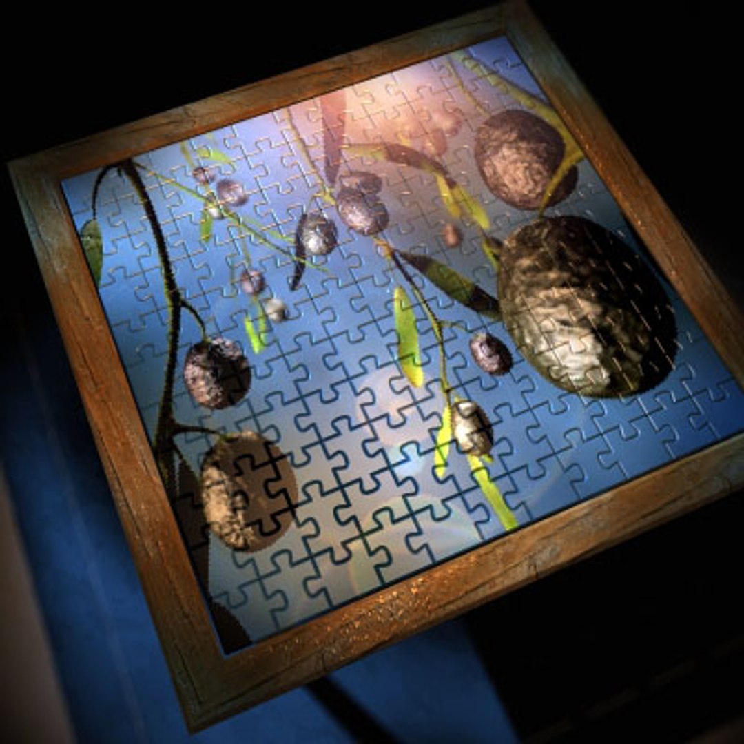 Puzzle 3d Model