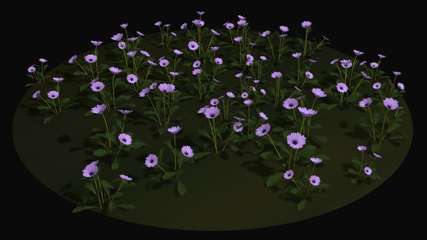 modelo 3d Flores silvestres moradas Low-poly - TurboSquid 2225638