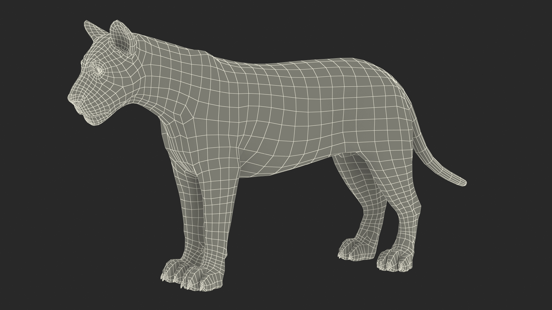 Young Lion Rigged 3D Model - TurboSquid 1755565