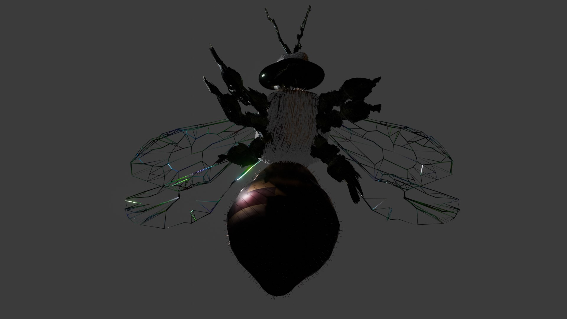 3D Model Honey Bee - TurboSquid 2246217
