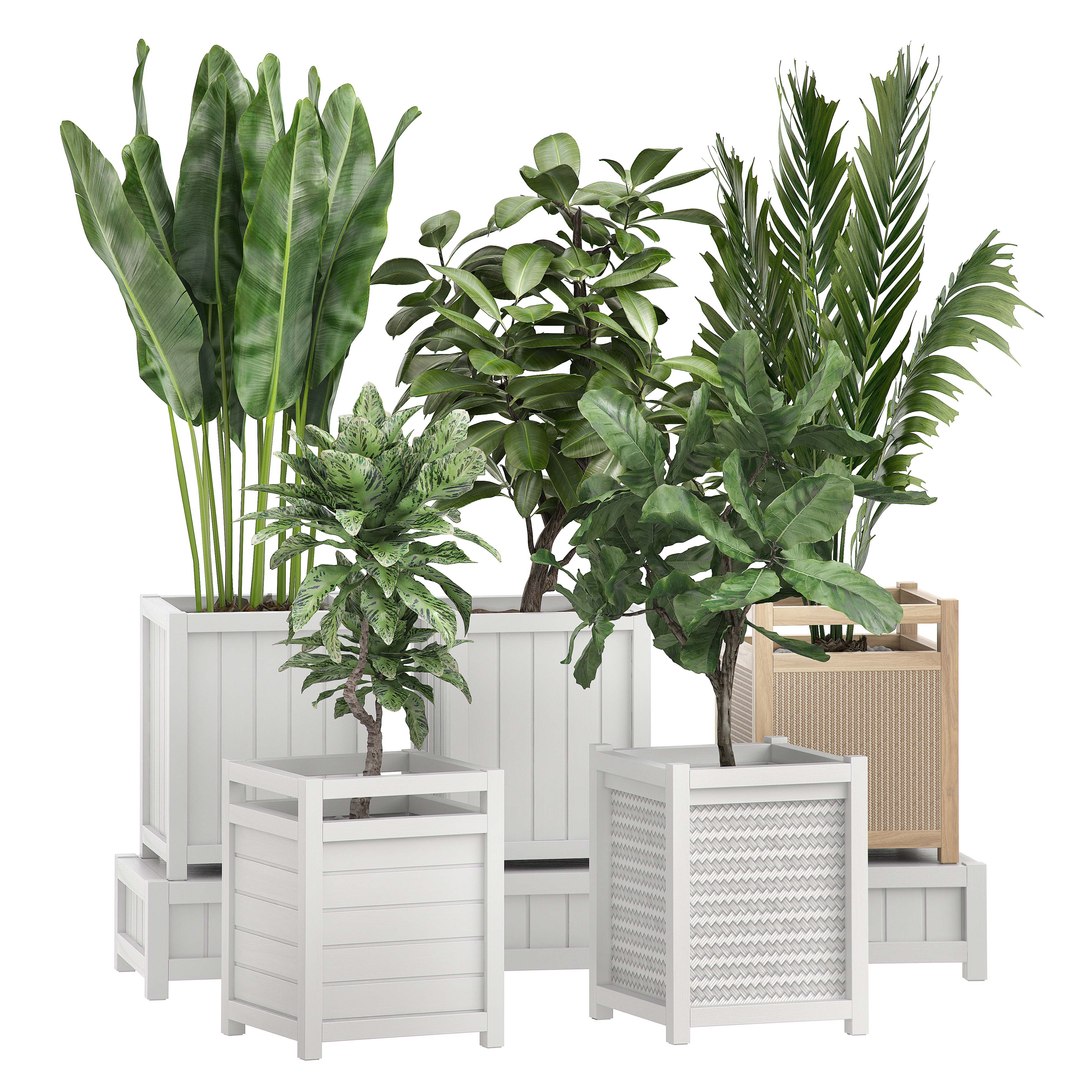 3D Flower Pack 116 - TurboSquid 1632340