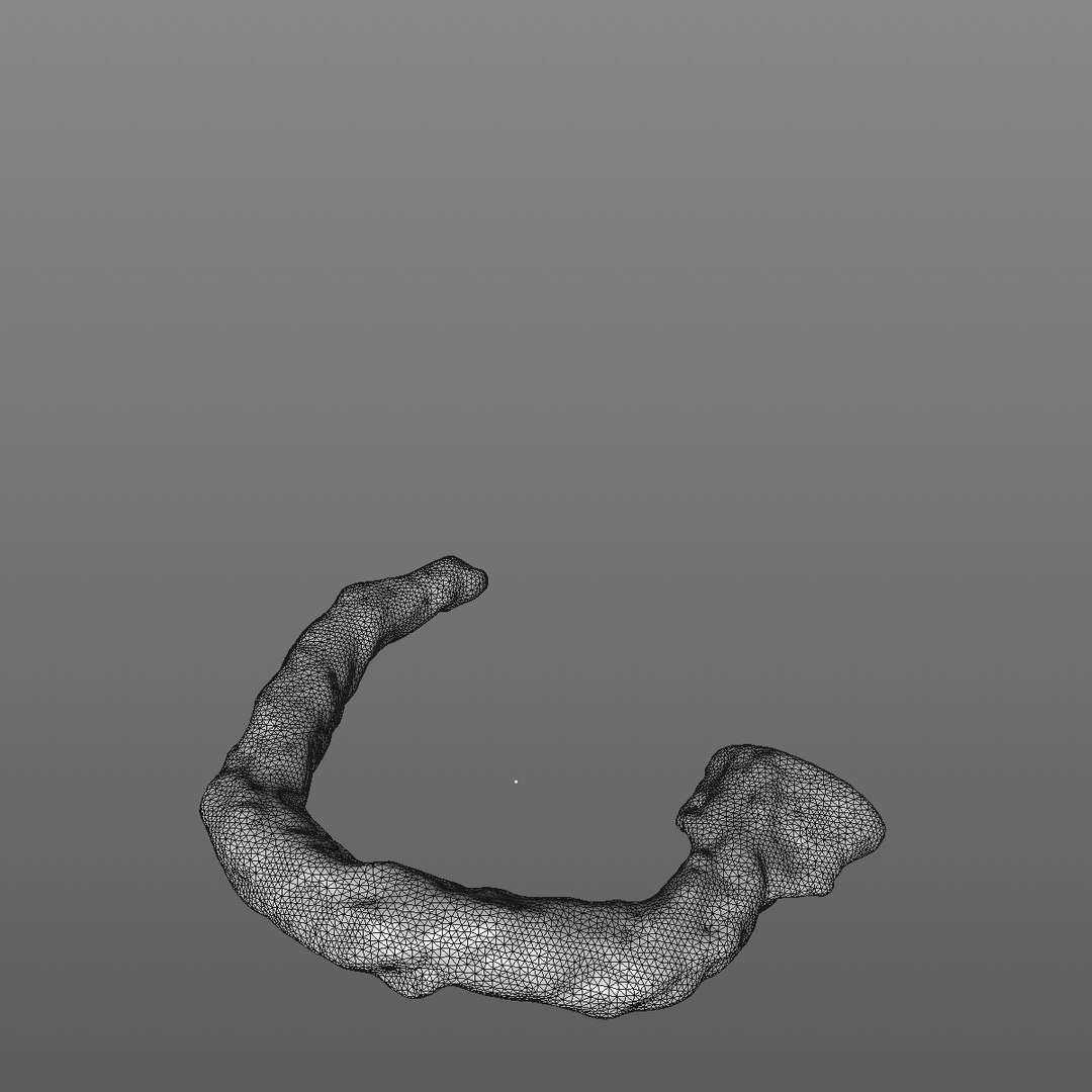 3D Animation Resolution Flowing Transparent Model - TurboSquid 1359209