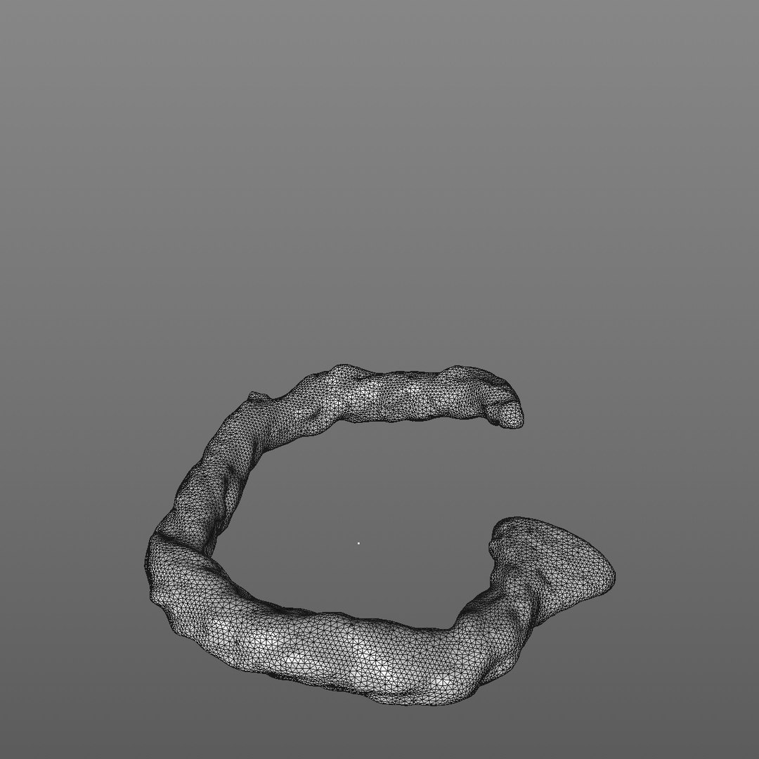 3D Animation Resolution Flowing Transparent Model - TurboSquid 1359209