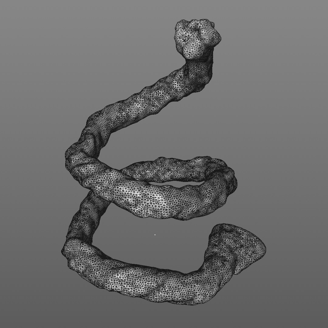 3D Animation Resolution Flowing Transparent Model - TurboSquid 1359209