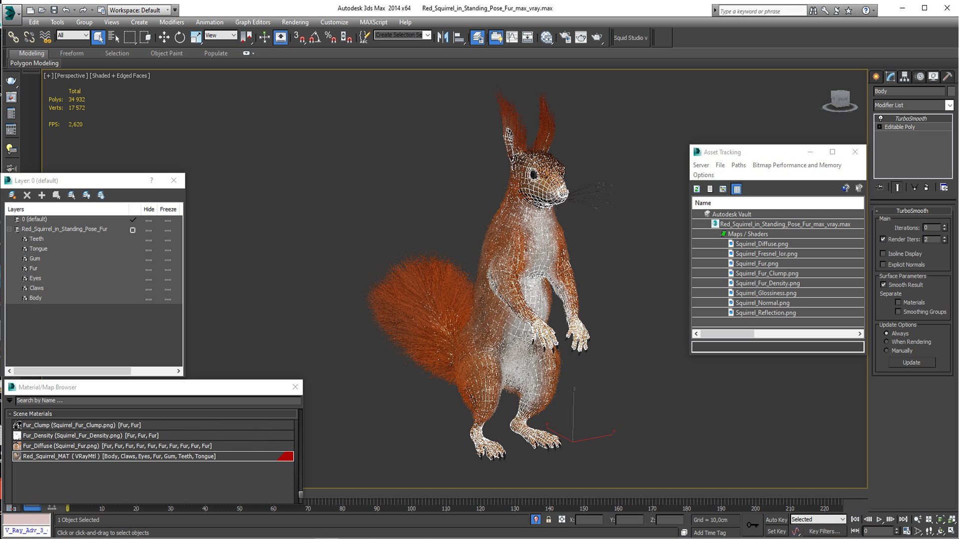 3D Model Red Squirrel In Standing Pose Fur - TurboSquid 2269672