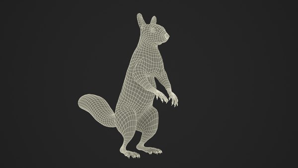 modelo 3d Ardilla roja en pose de pie - TurboSquid 2269672
