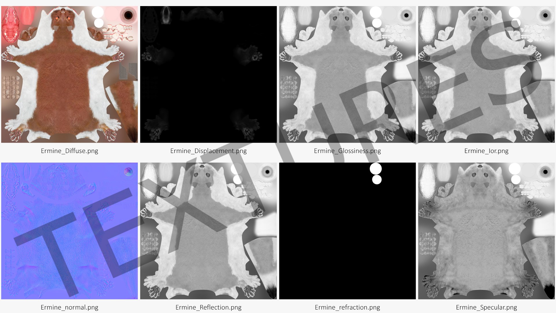 Beringian Stoat Brown Standing Pose 3D - TurboSquid 2211518