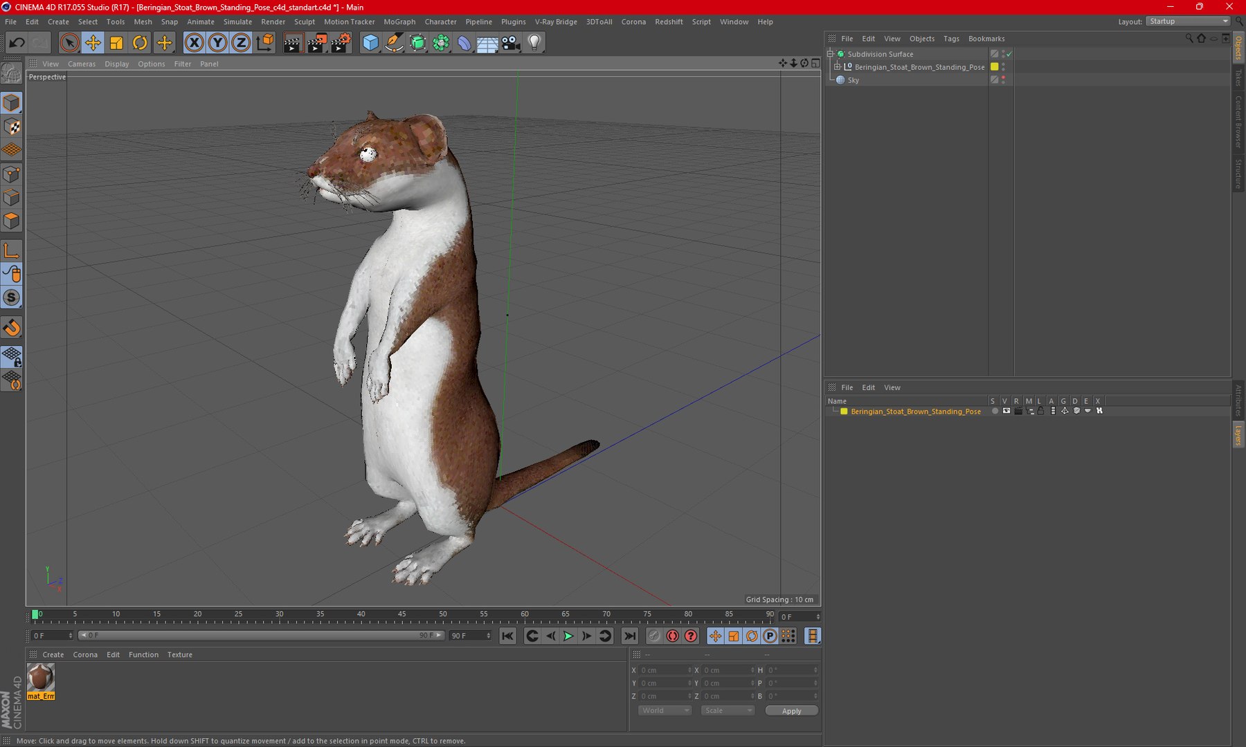 Beringian Stoat Brown Standing Pose 3D - TurboSquid 2211518
