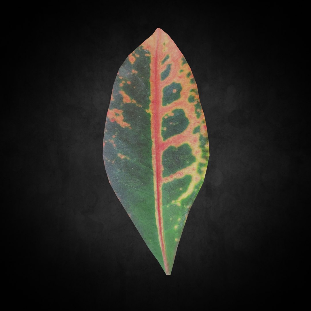3D Low Poly Leaf 093 Model - TurboSquid 1852570