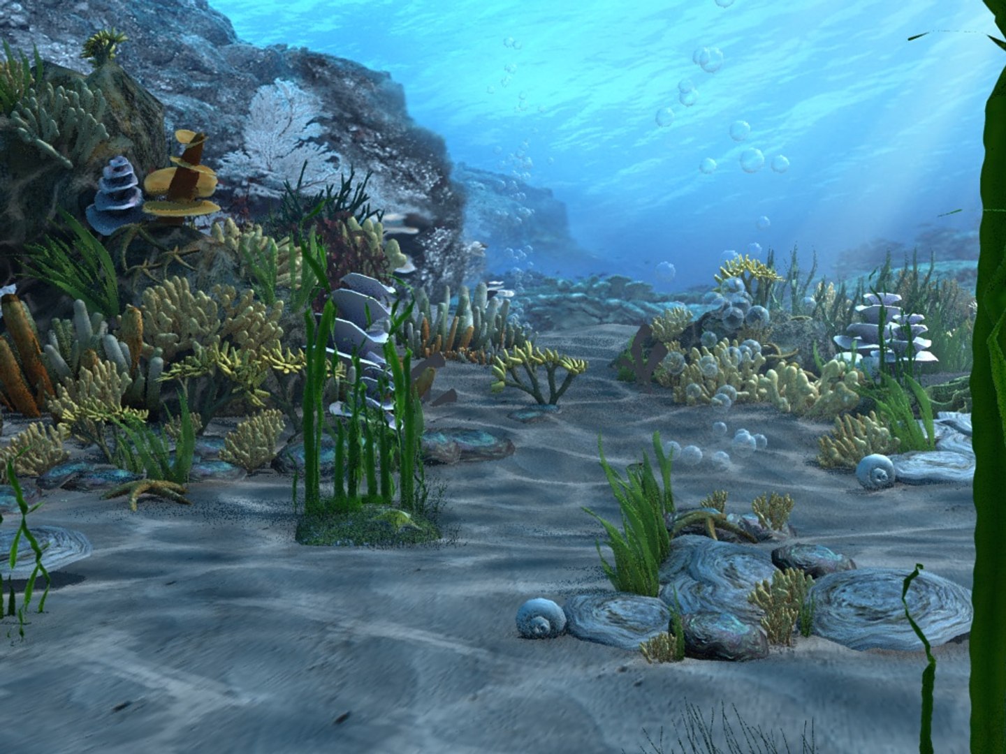 underwater world animation 3d max