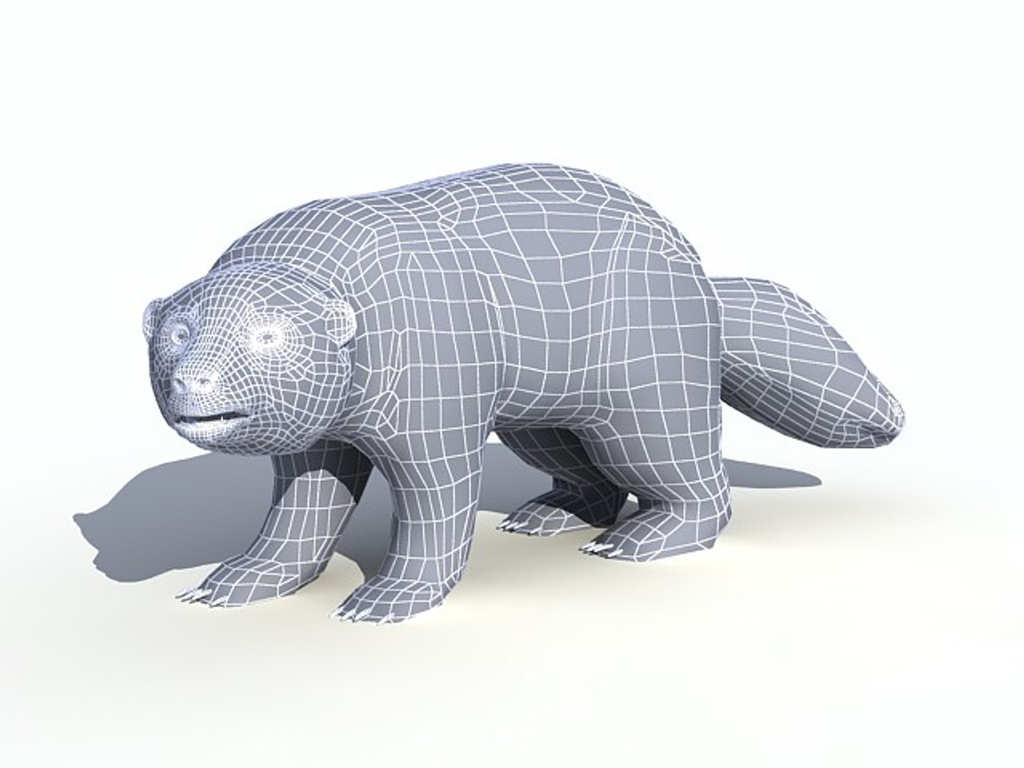 3d Wild Wolverine Model