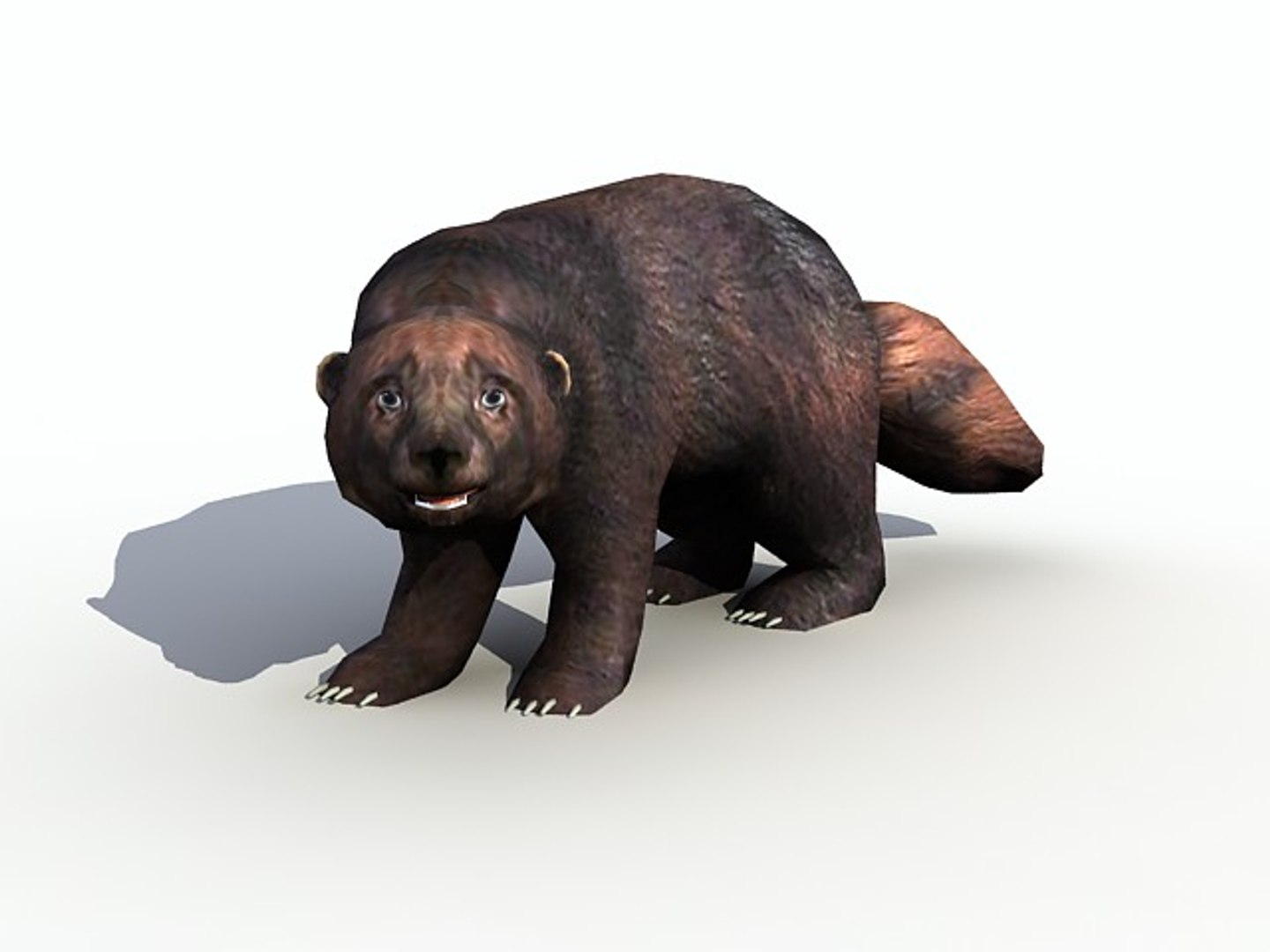 3d Wild Wolverine Model