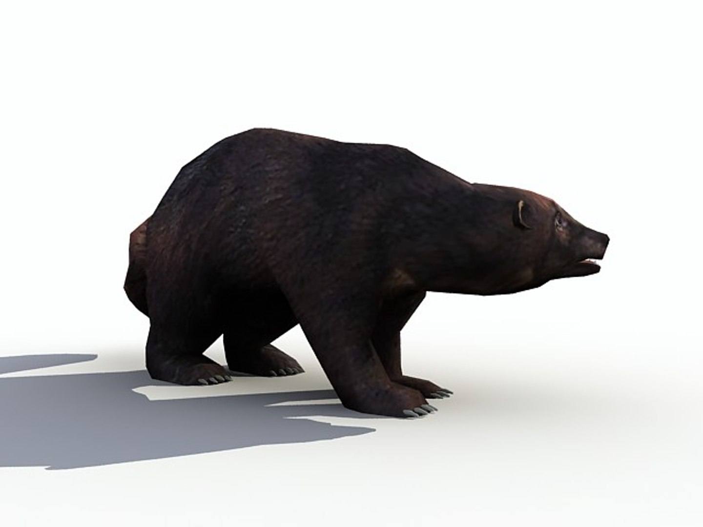 3d Wild Wolverine Model