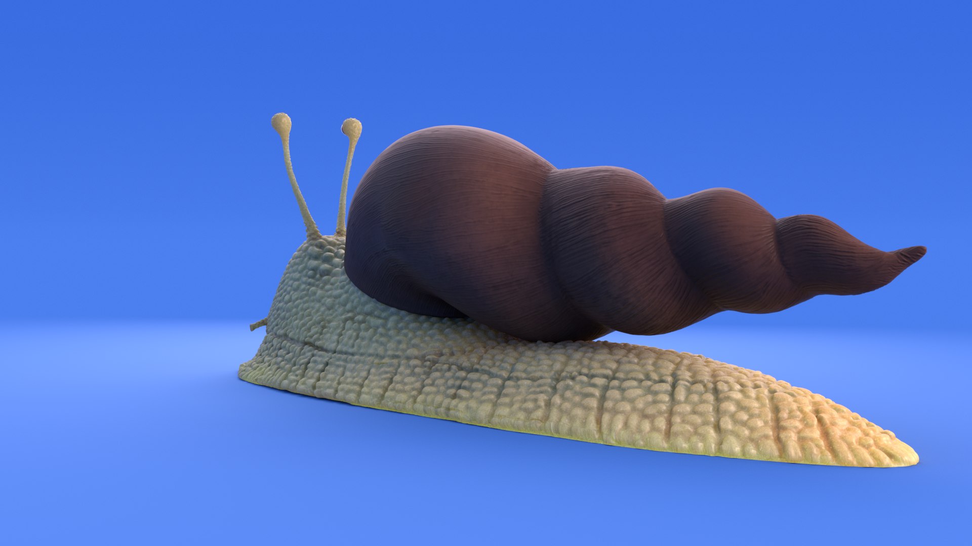 Cartoon Snail - 3D - TurboSquid 1476934