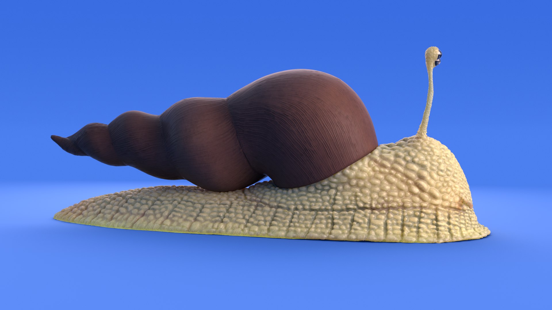 Cartoon Snail - 3D - TurboSquid 1476934