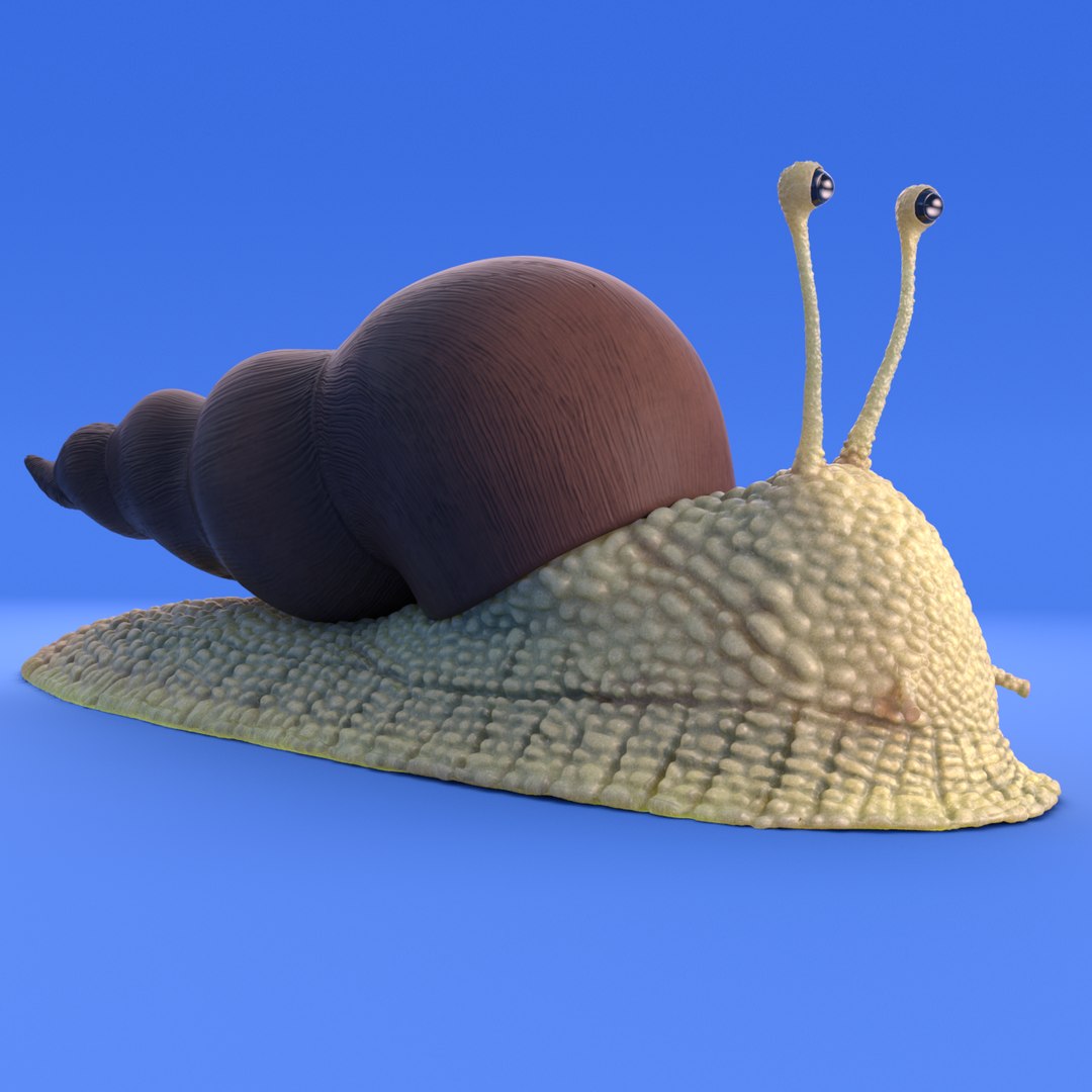 Cartoon Snail - 3D - TurboSquid 1476934
