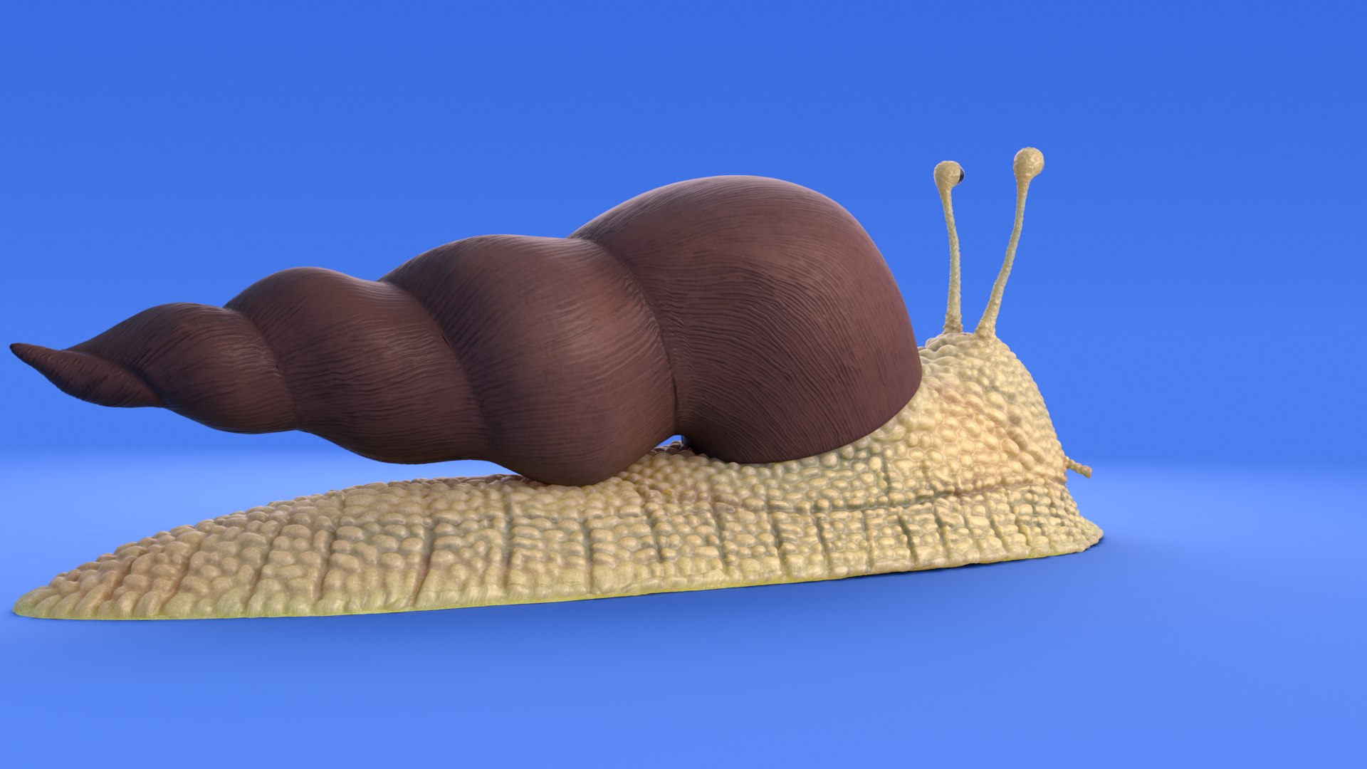 Cartoon Snail - 3D - TurboSquid 1476934