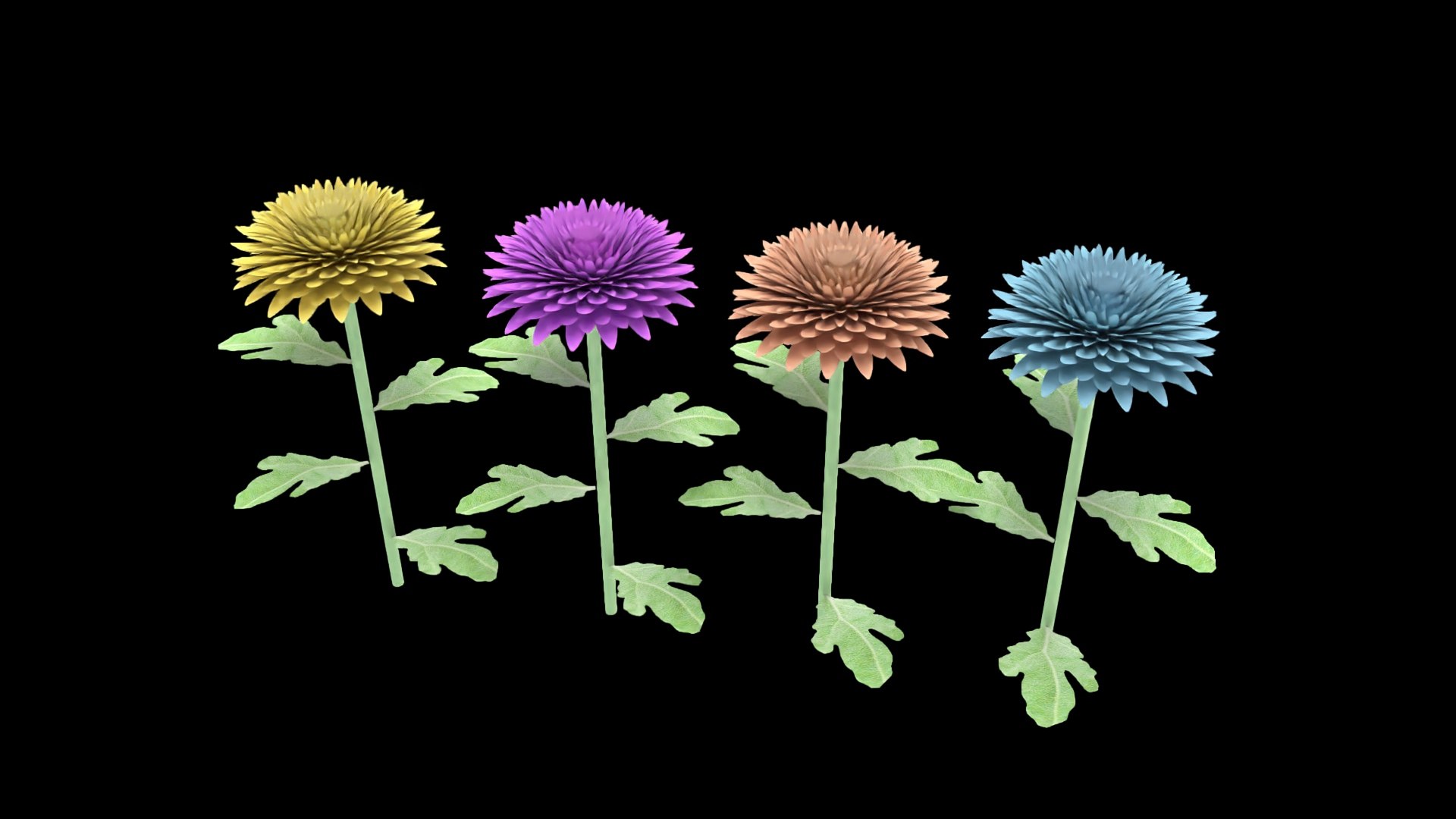 3D flowers cushion chrysanthemim - TurboSquid 1618371