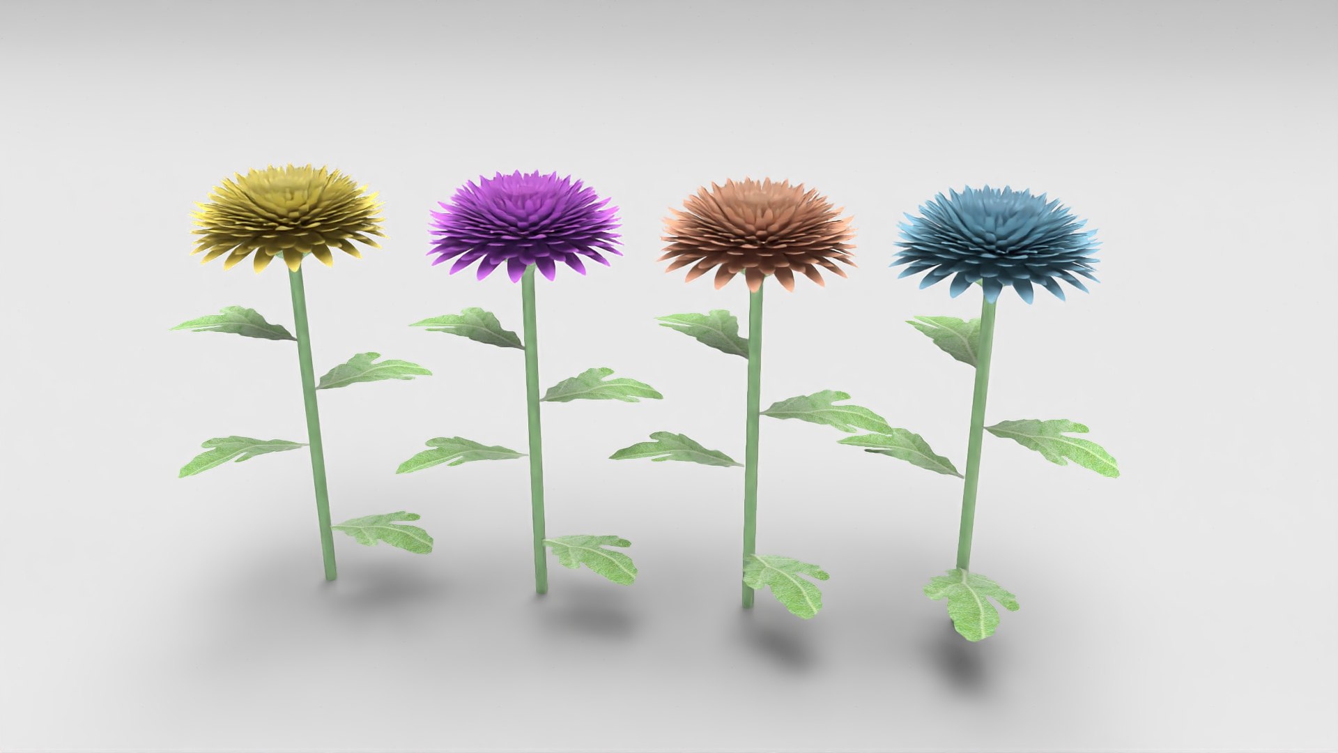 3D flowers cushion chrysanthemim - TurboSquid 1618371