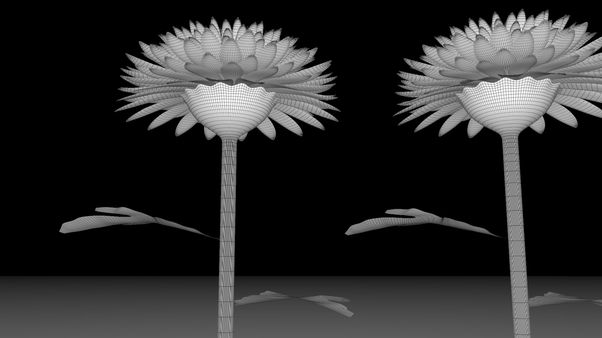 3D flowers cushion chrysanthemim - TurboSquid 1618371