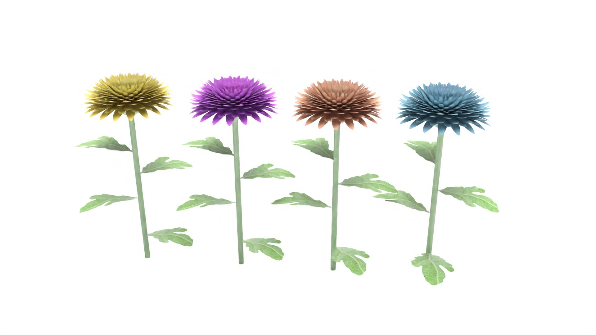 3D flowers cushion chrysanthemim - TurboSquid 1618371