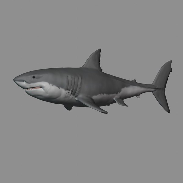 Great White Shark Blender Models for Download | TurboSquid