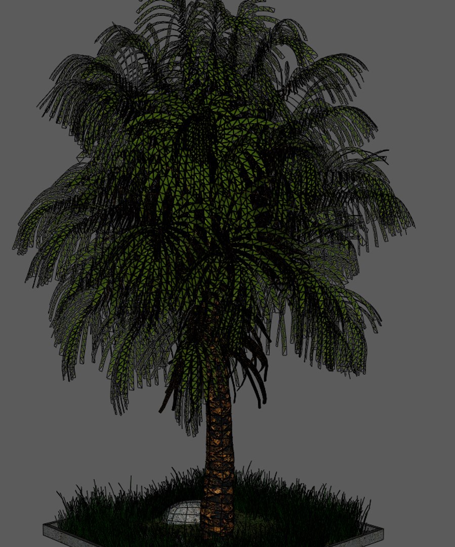 Palm Tree 3d Obj