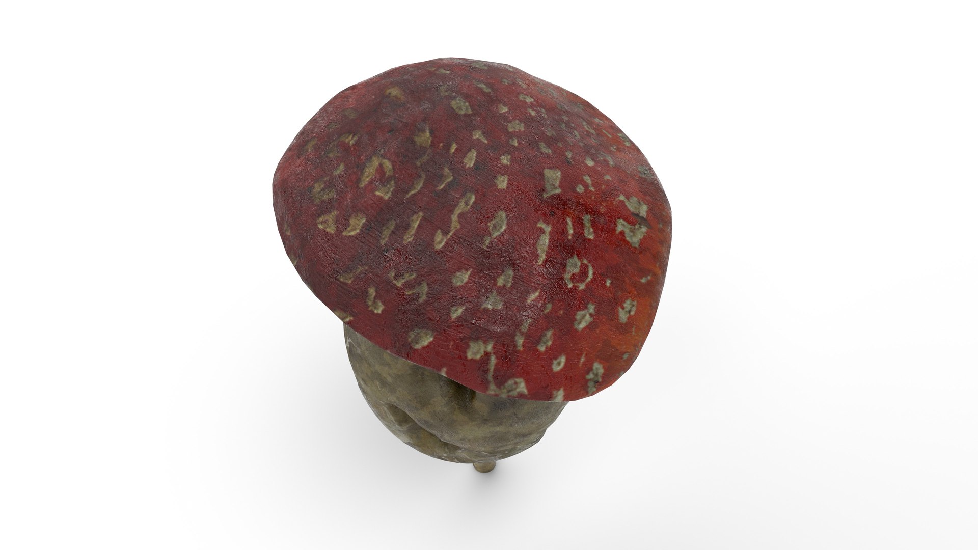 3D plants mushrooms fungus model - TurboSquid 1562283