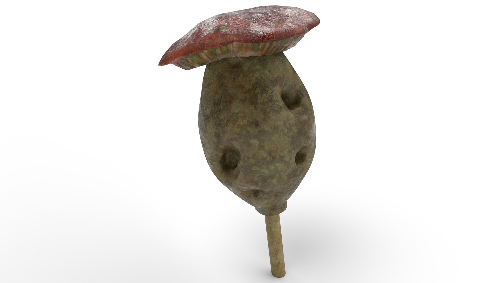 3D plants mushrooms fungus model - TurboSquid 1562283